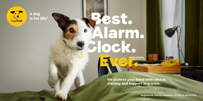 Dogs Trust celebrates "Ground Dog Day" | #BehindTheIdea
