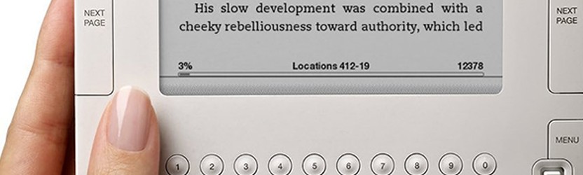 Opinions - Kindling. What do eBooks mean for writers?