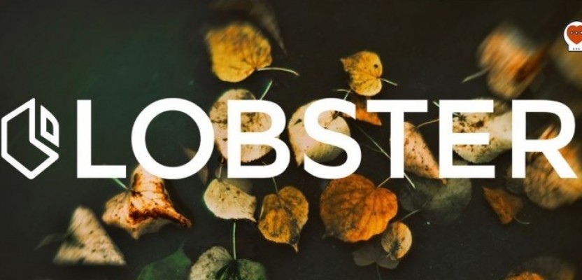 Lobster, the platform fighting copyright infringement of social media ...