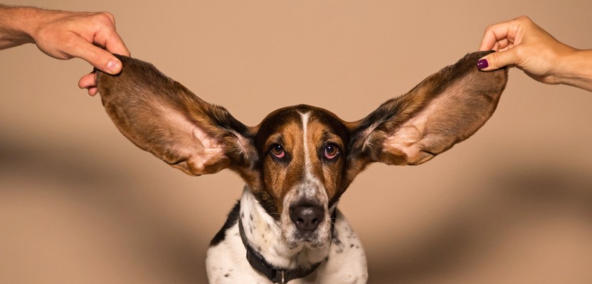 Open your ears – How brands can make sure they’re heard in 2020